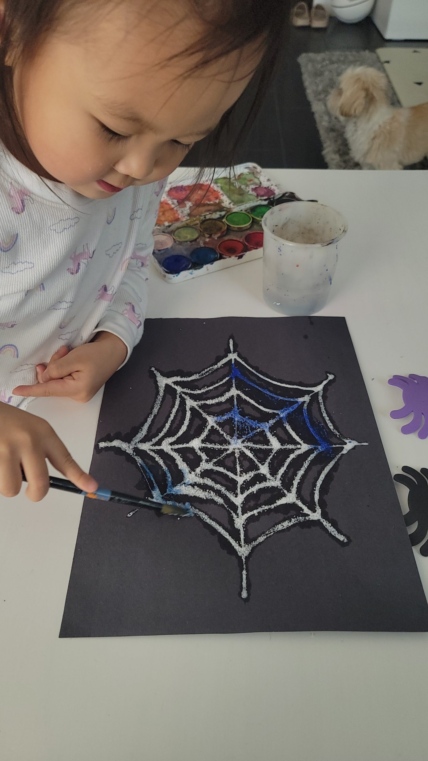 Spider Web Salt Painting - Learning from Playing