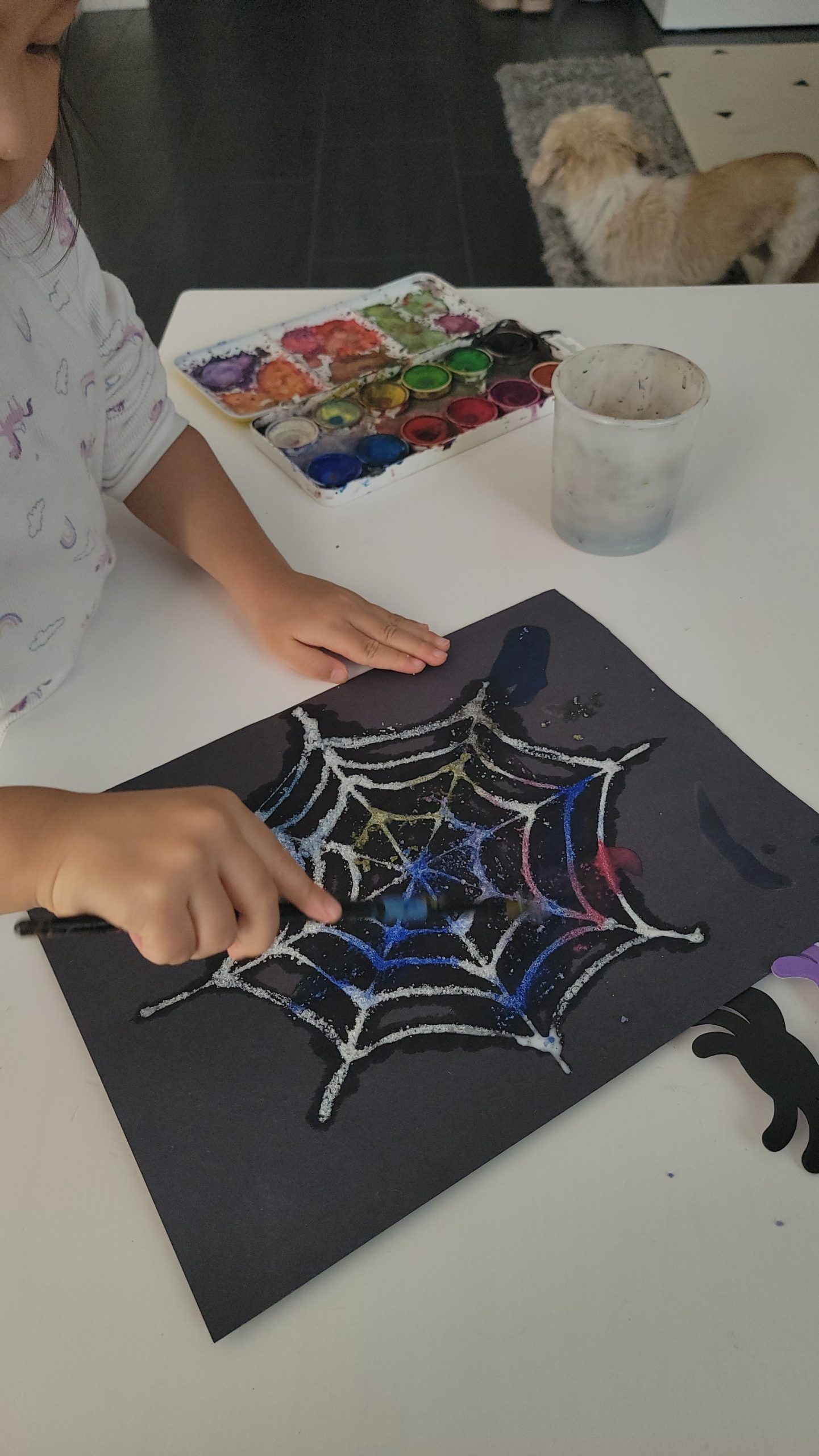 Spider Web Salt Painting - Learning from Playing