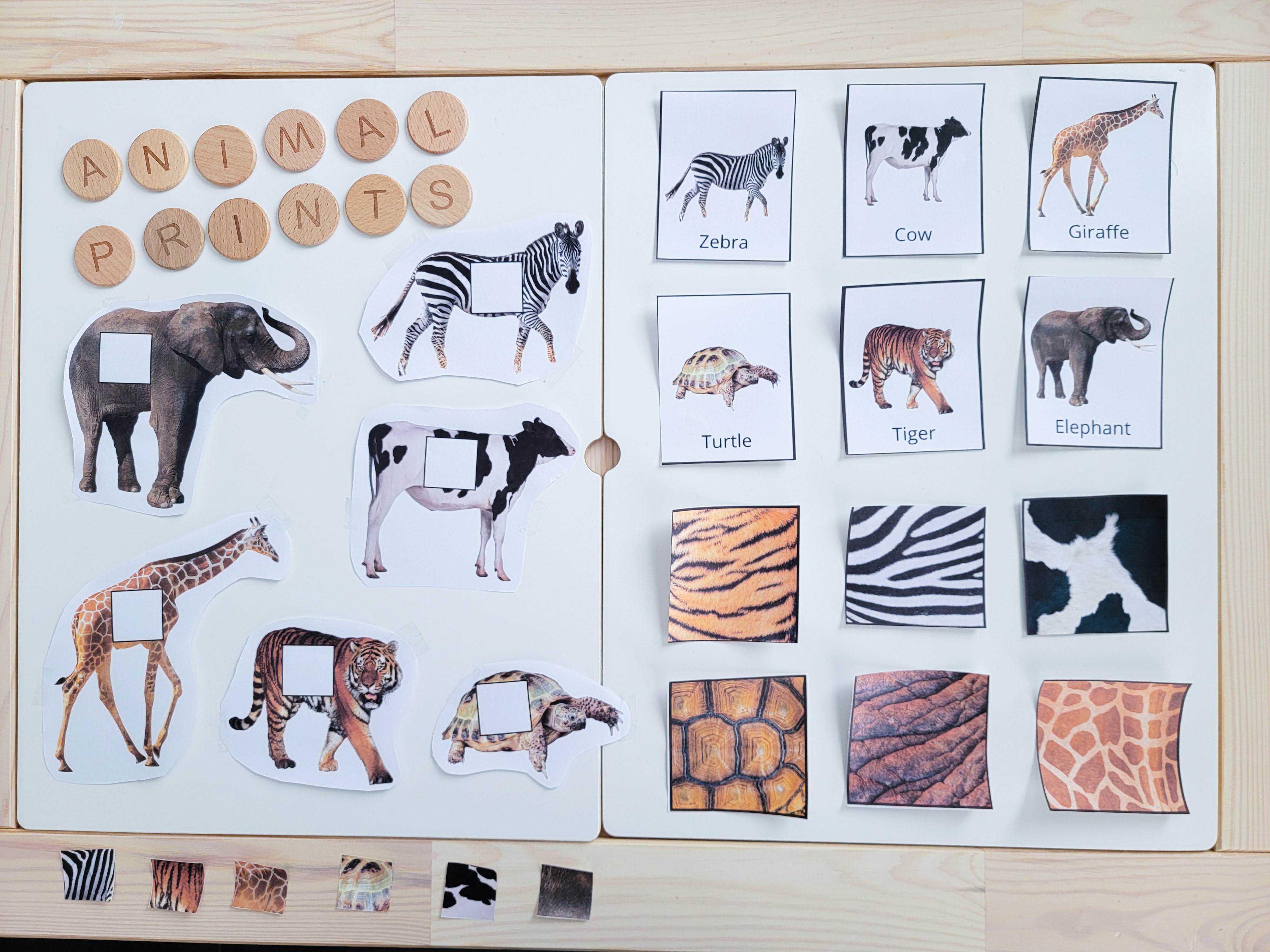 FREE PRINTABLE – Animal Prints – Learning from Playing