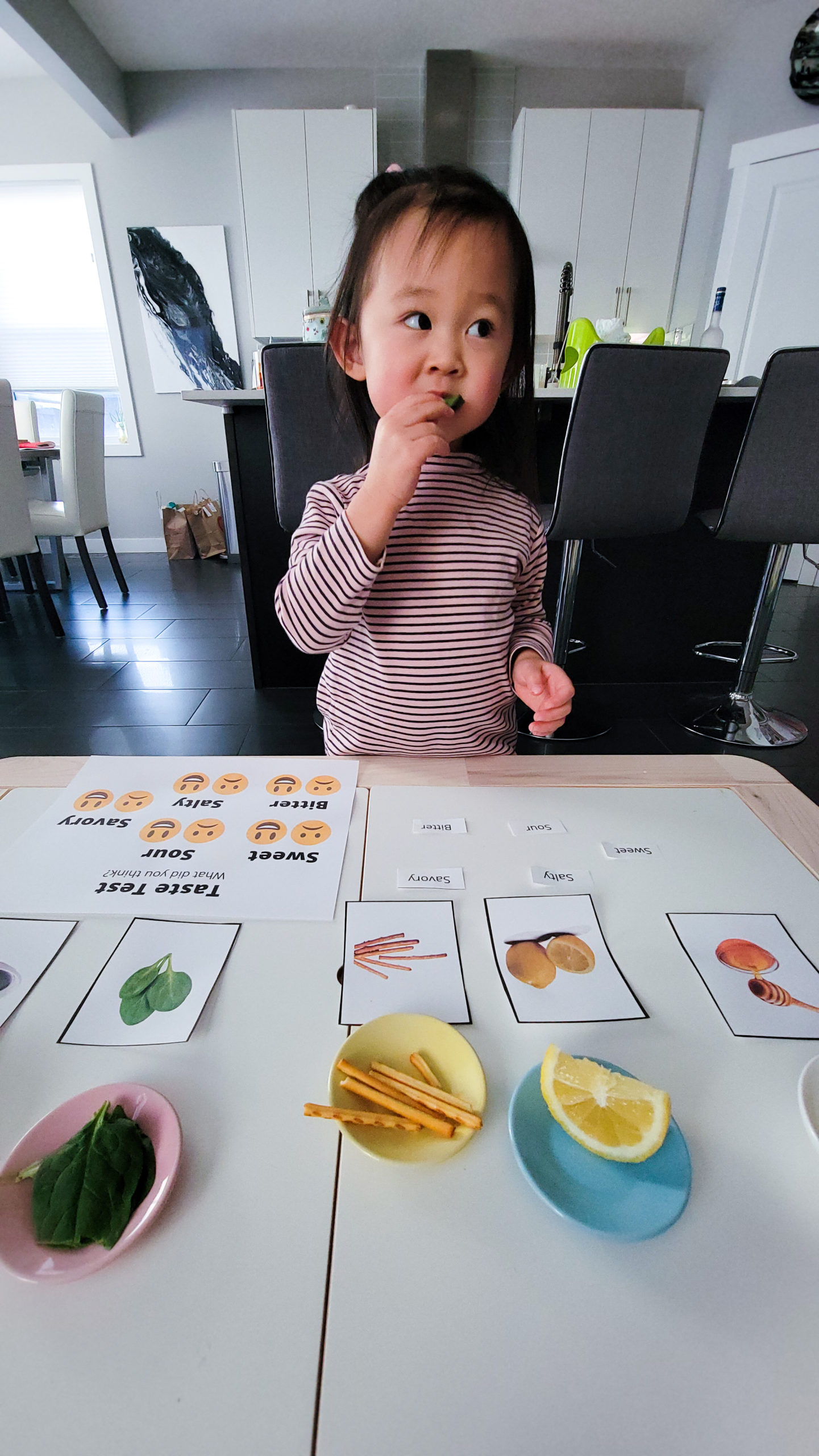 Five Senses – Sense of TASTE – Learning from Playing